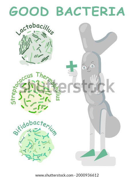 Good Bacteria Poster Character Medical Infographic Stock Vector ...