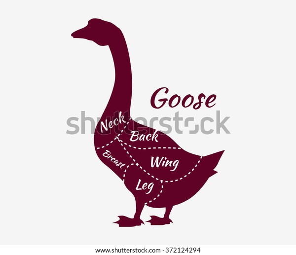 Goose Cuts Diagram Chart Butcher Shop Stock Vector (Royalty Free) 372124294