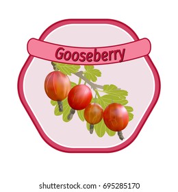 Gooseberry Label Vector Illustration Stock Vector (Royalty Free ...