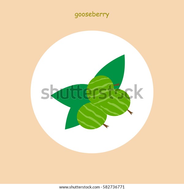 Gooseberry Symbol Icon Logo Fruit Stock Vector (Royalty Free) 582736771 ...