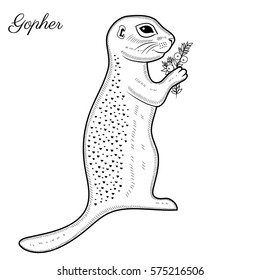 114 Cartoon gopher illustration outline vector Images, Stock Photos ...