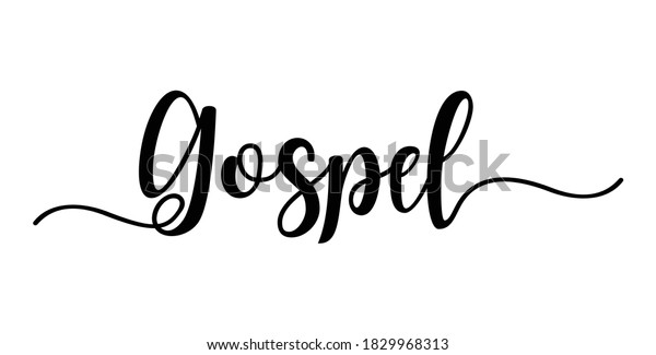 Gospel Calligraphy Text Swashes Vector White Stock Vector (Royalty Free ...