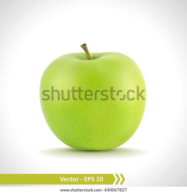 Gradient Mesh Vector Illustration Photo Realistic Stock Vector (Royalty ...