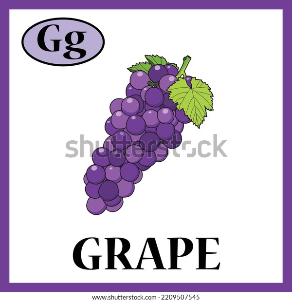 Grape Alphabet Cute Flash Card Letter Stock Vector (Royalty Free ...