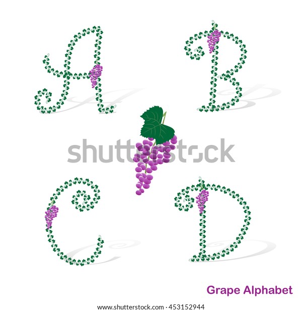 Grape Alphabet Letters B C D Stock Vector (Royalty Free) 453152944