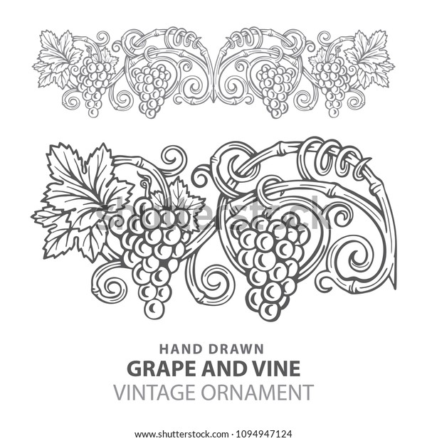 Grape Hand Drawn Grape Vine Engraving Stock Vector (Royalty Free ...