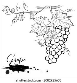 Grape Line Art Vector Illustration Stock Vector (Royalty Free ...