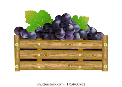 Grapes Box Isolated On White Background Stock Vector (Royalty Free ...