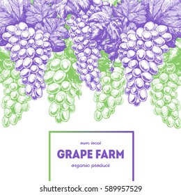 Grapes Card Design Template Hand Drawn Stock Vector (Royalty Free ...