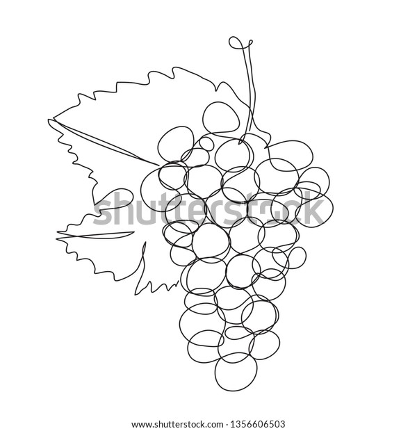 Grapes Continuous One Line Art Grapes Stock Vector (Royalty Free ...