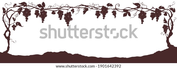 Grapevine Graphic Vector Illustration Design Element Stock Vector ...