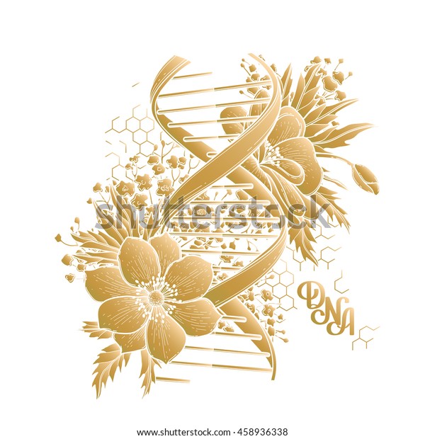 Graphic Dna Structure Floral Design Isolated: เวกเตอร์สต็อก (ปลอดค่า ...