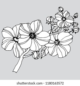 Graphic Flowers Without Color Stock Vector (Royalty Free) 1180163572