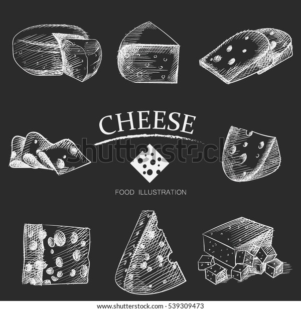 Graphic hand drawn cheese sketch vector illustrator on blackboard ...