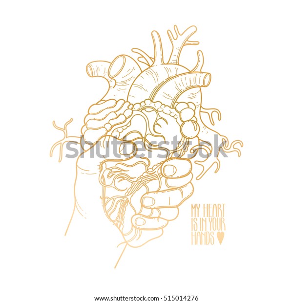 Graphic Hand Grasping Human Heart Vector: เวกเตอร์สต็อก (ปลอดค่า ...