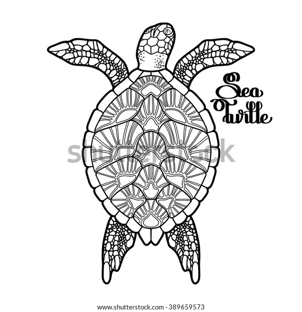 Graphic Hawksbill Sea Turtle Drawn Line Stock Vector (Royalty Free ...