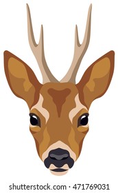Graphic Illustration Head Roe Deer Stock Vector (Royalty Free ...