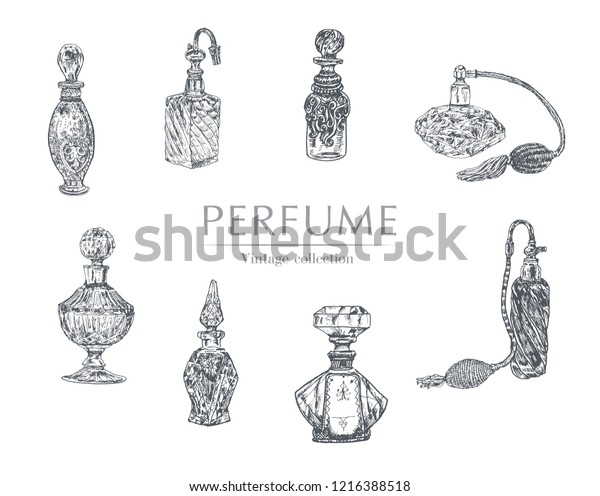 Graphic Vector Set Black White Perfume Stock Vector (Royalty Free ...