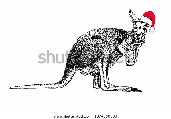 Graphical Kangaroo Santa Claus Hat Isolated Stock Vector (Royalty Free ...