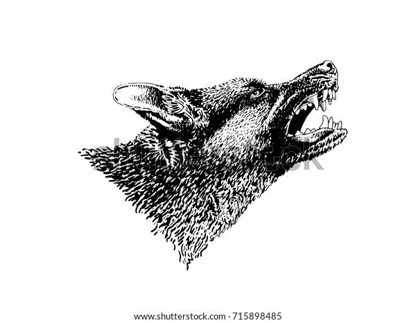 Graphical Portrait Angry Sheepdog Isolated On Stock Vector (Royalty ...