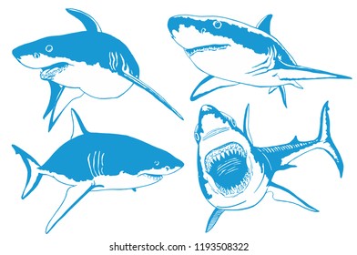 1,125 Graphical set blue color sharks isolated on Images, Stock Photos ...