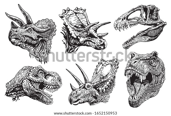 Graphical Set Dinosaur Portraits Isolated On Stock Vector (Royalty Free ...
