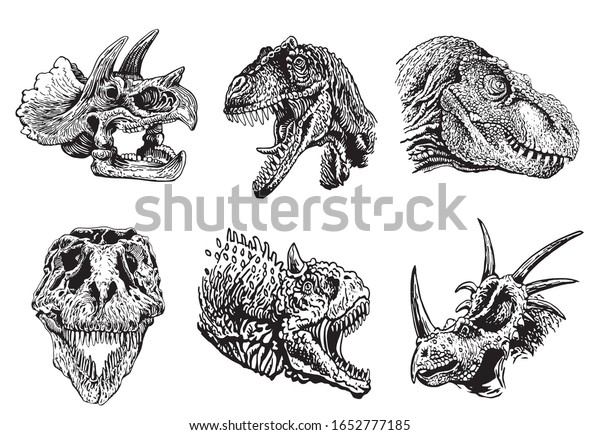 Graphical Set Dinosaur Portraits Isolated On Stock Vector (Royalty Free ...