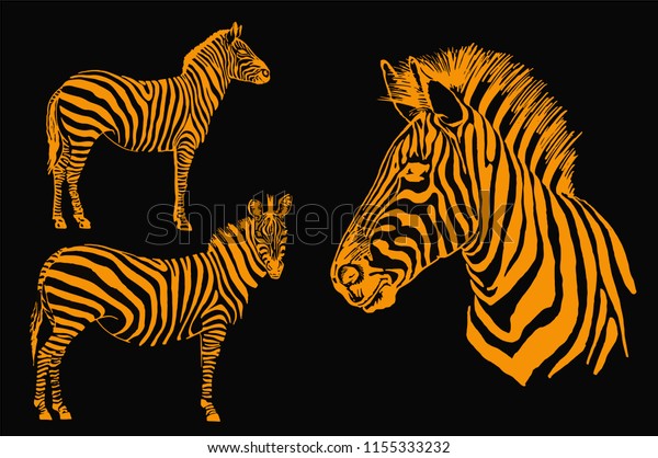 Graphical Set Orange Color Zebra Isolated Stock Vector (Royalty Free ...