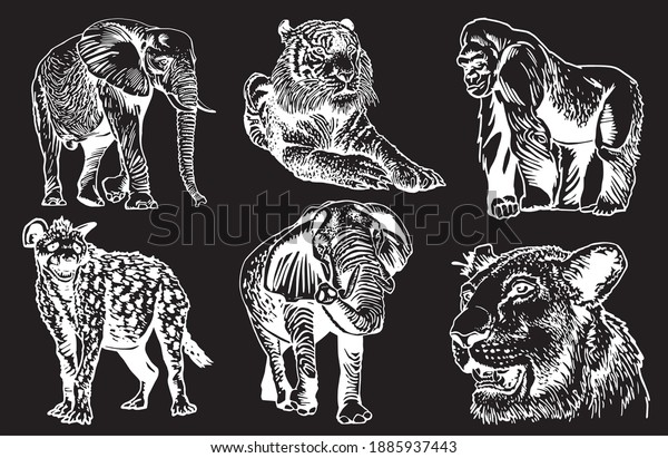 Graphical Set Wild Animals Isolated On Stock Vector (Royalty Free ...