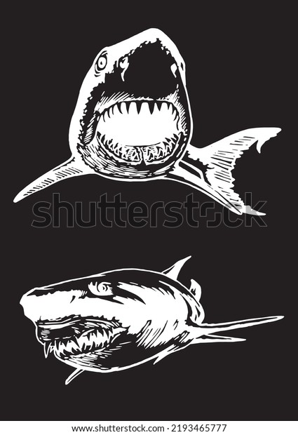 Graphical Two Sharks Isolated On Black Stock Vector (Royalty Free ...