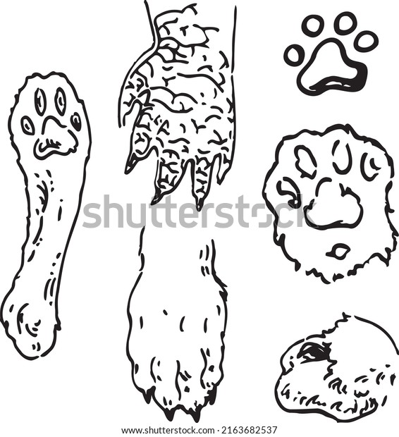 Graphical Types Legs Different Animals: เวกเตอร์สต็อก (ปลอดค่าลิขสิทธิ์ ...