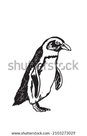 Penguin Clipart Black And White | Free download on ClipArtMag
