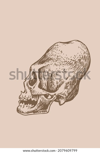 Graphical Vintage Drawing Mayan Skull Long Stock Vector (Royalty Free ...