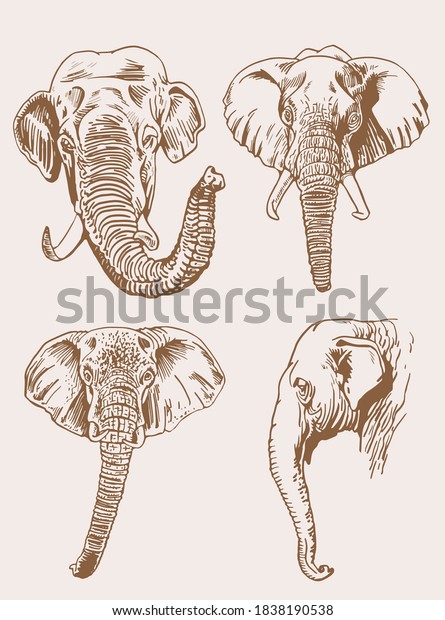Graphical Vintage Set Elephants Vector Illustration Stock Vector ...