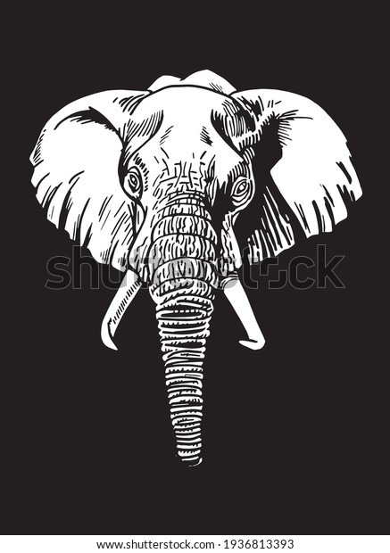 Graphical White Portrait Elephant On Black Stock Vector (Royalty Free ...