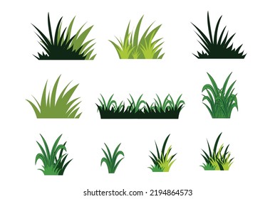 Grass Assets Type Grass Grass Assets Stock Vector (Royalty Free ...