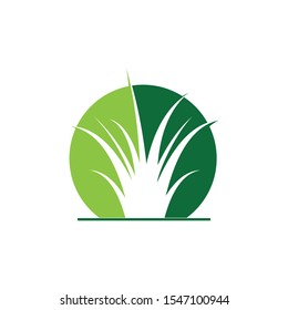 Grass Logo Vector Template Illustration Stock Vector (Royalty Free ...