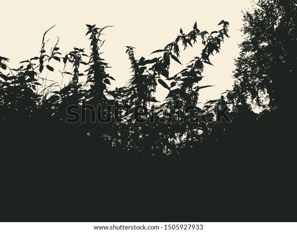 Grass Nettle Silhouette Background Detailed Vector Stock Vector ...