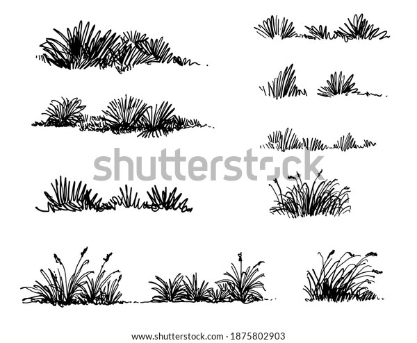 Grass Sketch Landscape Architecture Drawing Stock Vector (Royalty Free ...