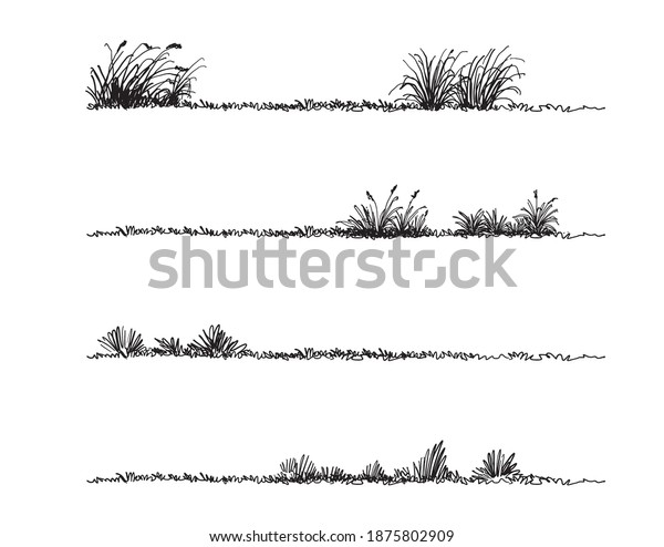 Grass Sketch Landscape Architecture Drawing Stock Vector (Royalty Free ...
