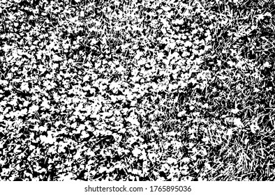 Grass Texture Nature Backgroundgrunge Texture Grunge Stock Vector ...