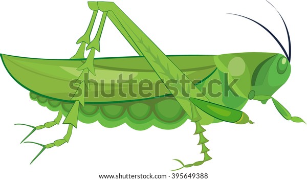 Grasshopper Grasshopper Have Very Strong Hind Stock Vector (Royalty ...