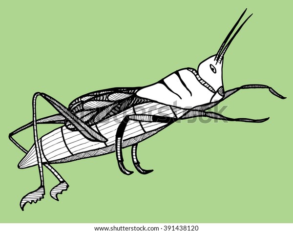 Grasshopper Locusts Insect Line Art Black Stock-vektor (royaltyfri ...