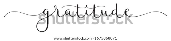 Gratitude Black Vector Brush Calligraphy Banner Stock Vector (Royalty ...