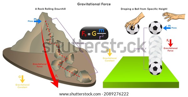 Physics ball drop : 478 images, photos et images vectorielles de stock ...