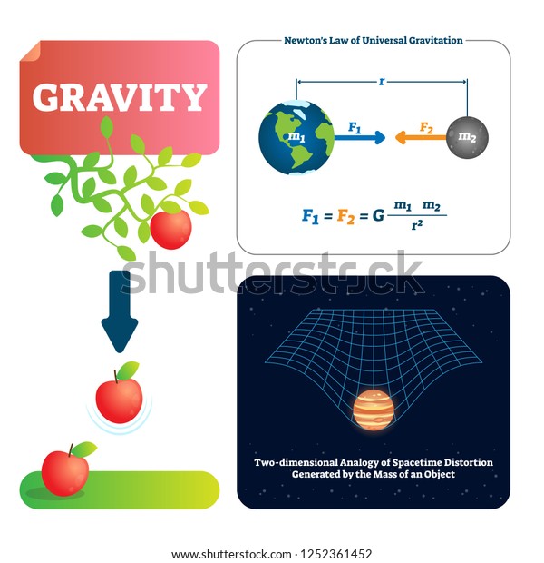Gravity Vector Illustration Explained Natural Force Stock Vector ...