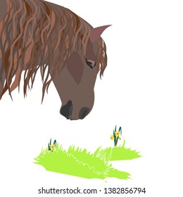 Grazing Horse Vector Isolated Farm Animals Stock Vector (Royalty Free ...