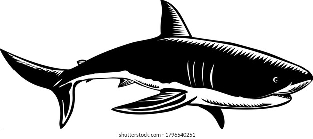208 Shark side view Stock Vectors, Images & Vector Art | Shutterstock