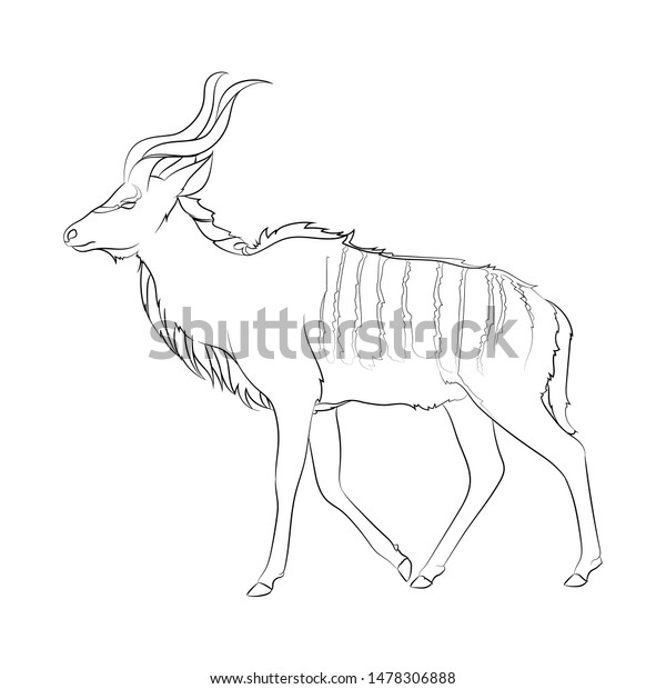 Greater Kudu Line Drawing Vector Illustration Stock Vector (Royalty ...