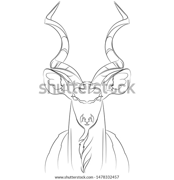 Greater Kudu Line Drawing Vector Illustration: เวกเตอร์สต็อก (ปลอดค่า ...